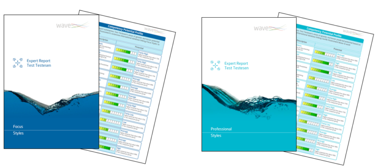 Personality Test Wave - Effective Recruitment! Uncover Motivation & Talent